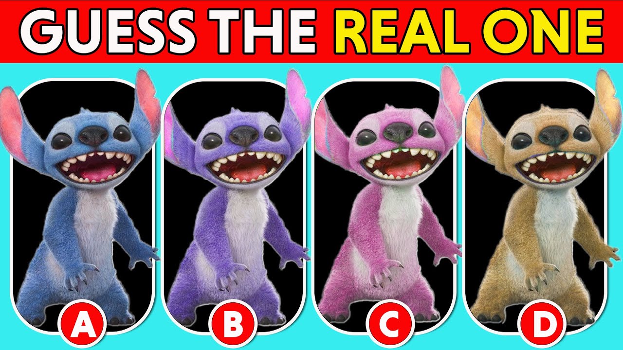 Can You Guess The Real Lilo and Stitch Characters | Lilo and Stitch ...