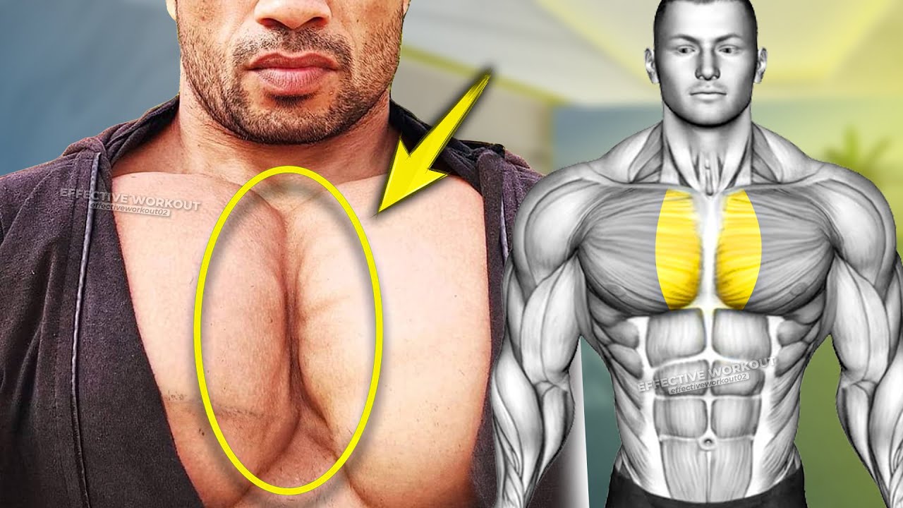 5 Best Inner Chest Exercises (MIDDLE CHEST) - YouTube