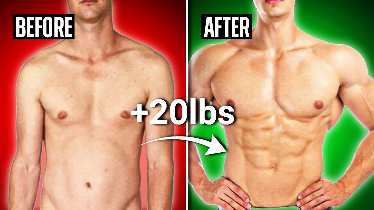 Top 10 Muscle-Building Muscle Building Tips for BEGINNERS - YouTube