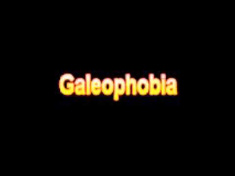 What Is The Definition Of Galeophobia - Medical Dictionary Free Online ...