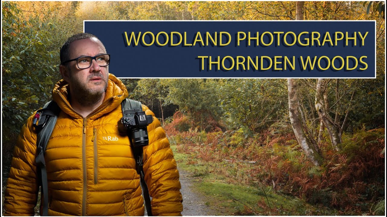 Exploring Thornden Woods , A Hidden Gem In The Heart Of Kent - YouTube