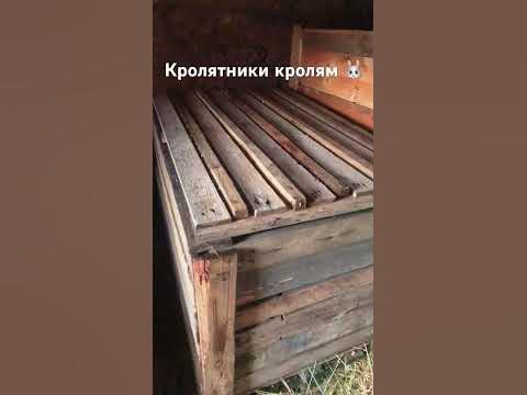 Кролятники - YouTube