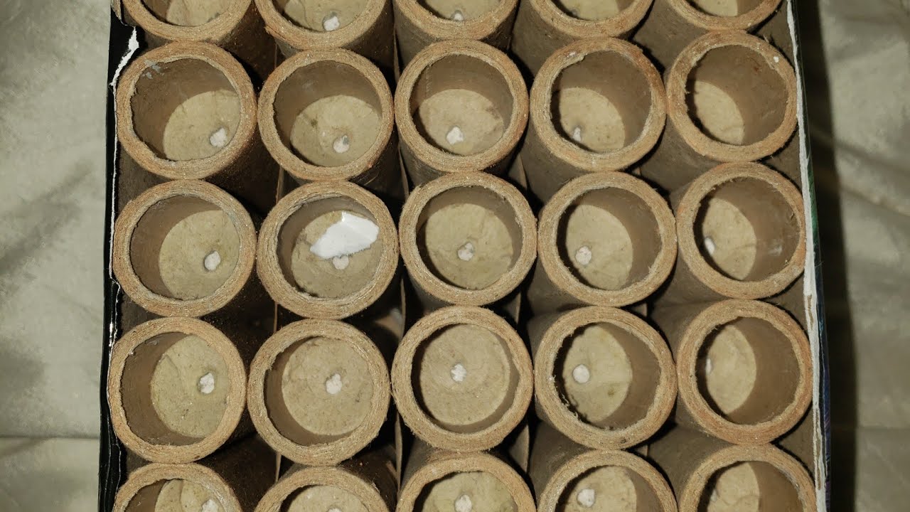 Breaking the sound barrier 25 shot 200g cake Anti snitch brand ...