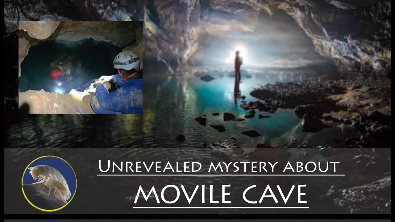 Unrevealed mystery of movile cave || Fun venture || Facts - YouTube