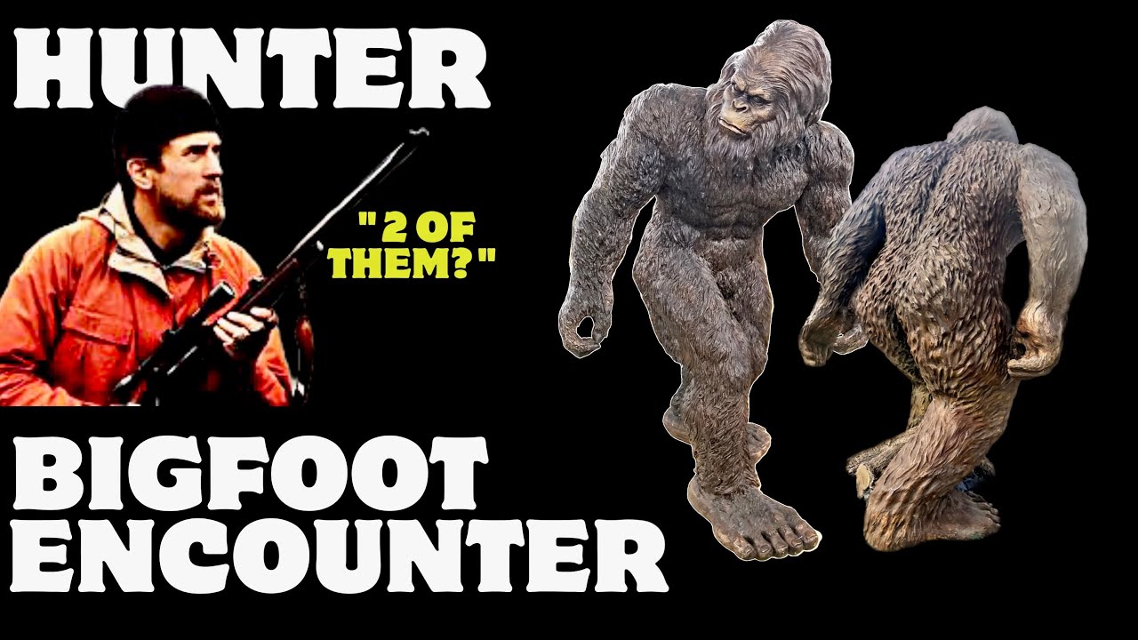 A HUNTER has a sighting with 2 BIGFOOT who talk to each other ! - YouTube