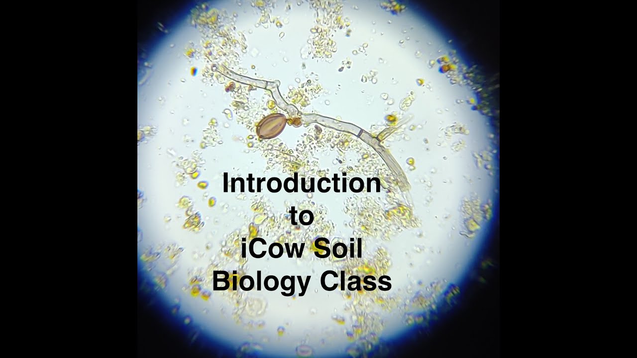 iCow Soil Biology Class Intro - YouTube