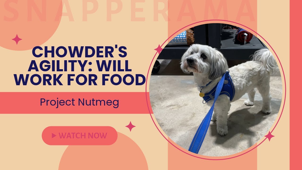 Project Nutmeg: Our Dog Chowder Only Works for Treats! - YouTube