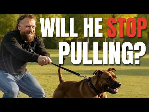 The FASTEST Way to Fix Leash Pulling for Good