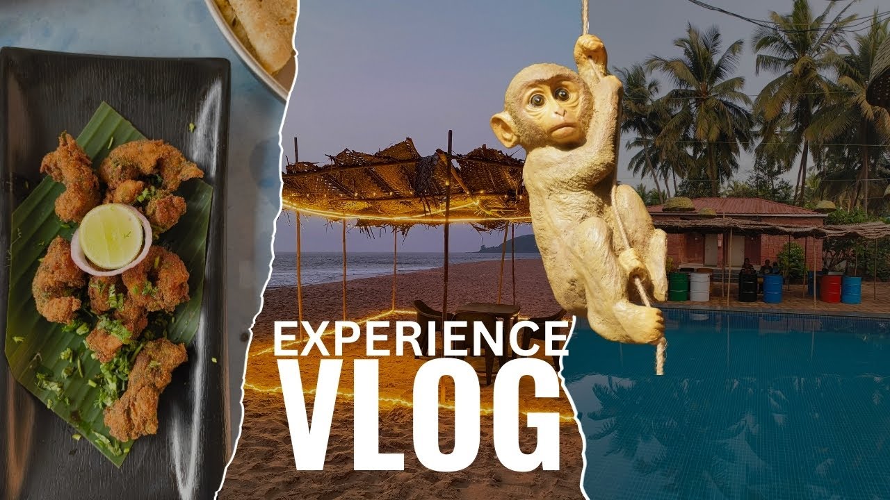 Is This Konkan’s Most Peaceful Beach Stay? 🌿🐒 | Discover Monkey Retreat ...