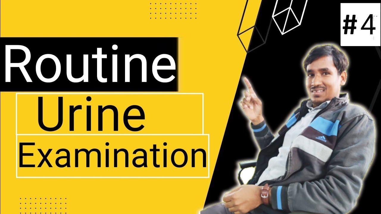 Routine Urine Examination Part 4 - YouTube