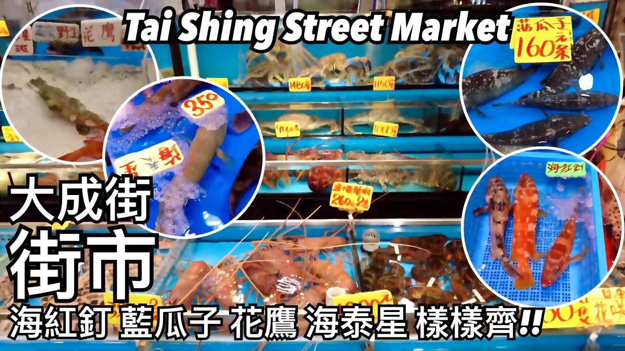 大成街街市 海紅釘 藍瓜子 花鷹 海泰星 樣樣齊!! | 大成街マーケット 高級魚から大衆魚まで安くできる!! | Tai Shing ...