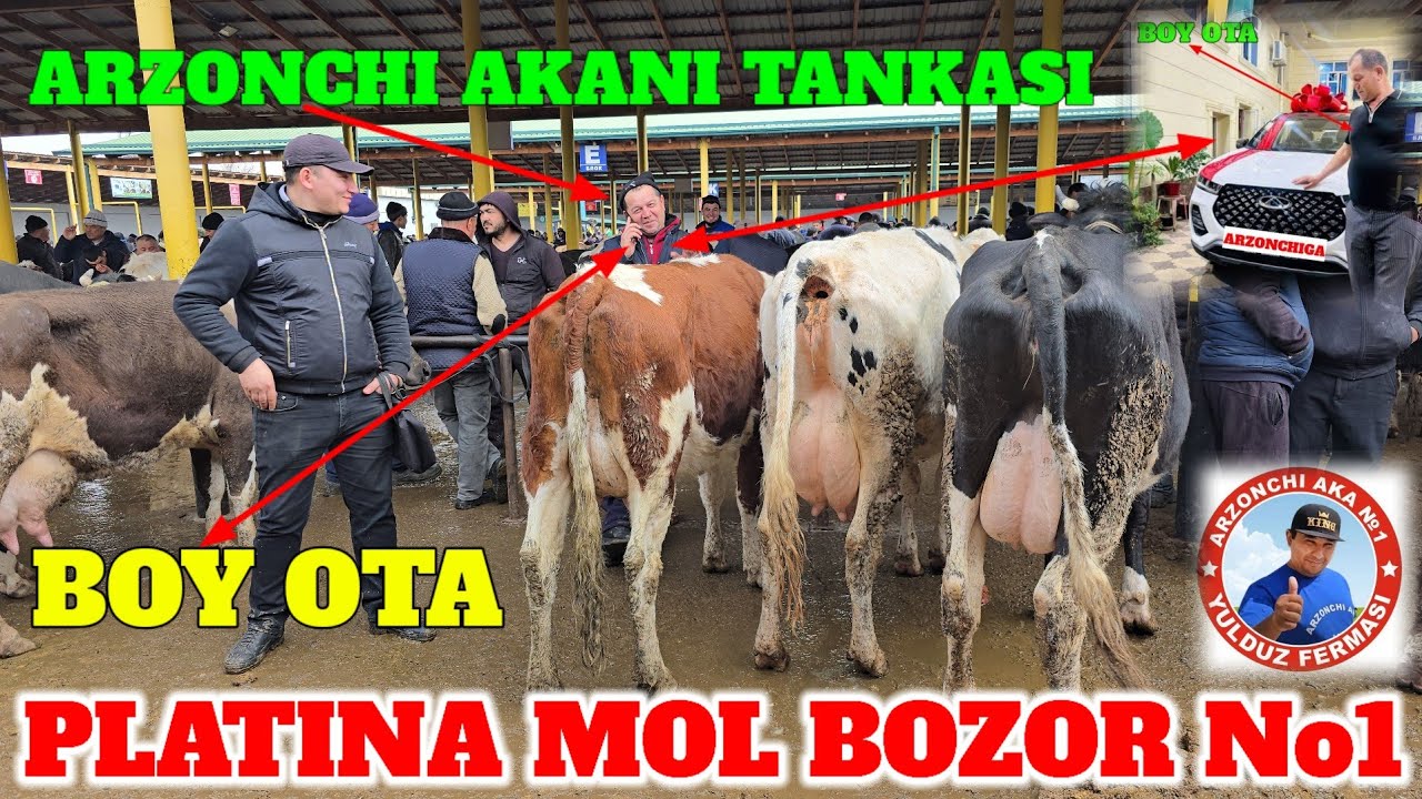 ARZONCHI AKANI TANKASI BOY OTANI KO‘RDIK PLATINA MOL BOZOR 😂 SIGIRLAR ...