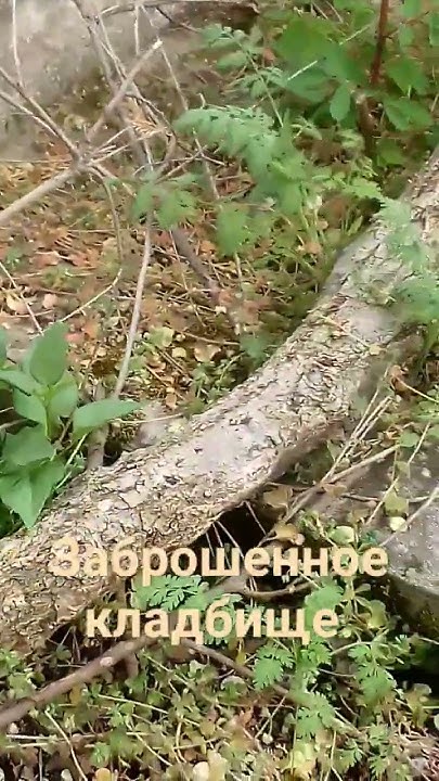 заброшенное кладбище.евпатория - YouTube
