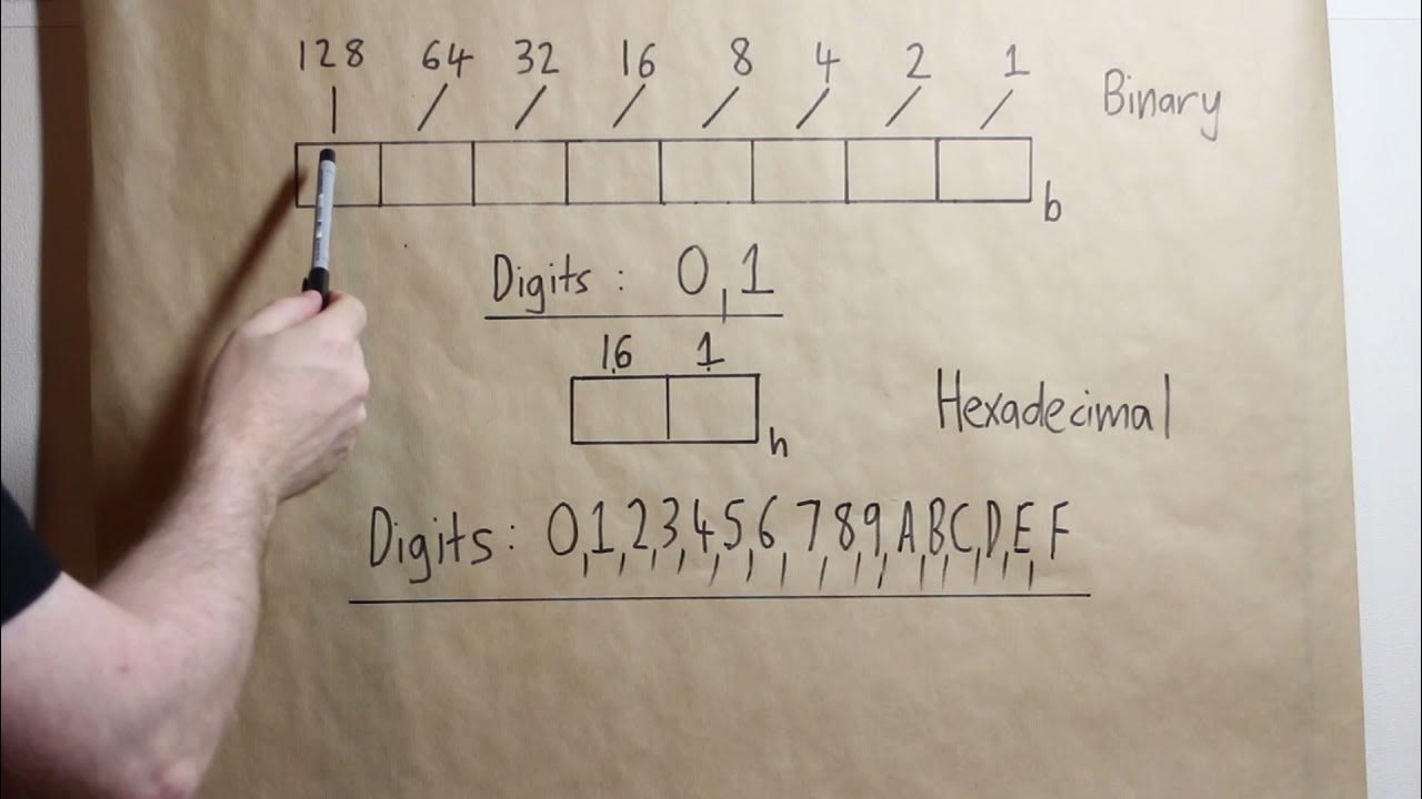 8086/8088 Assembly Language: Binary, Hexadecimal and BCD - YouTube