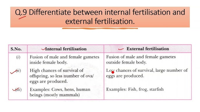 Difference between External Fertilization and Internal Fertilization ...