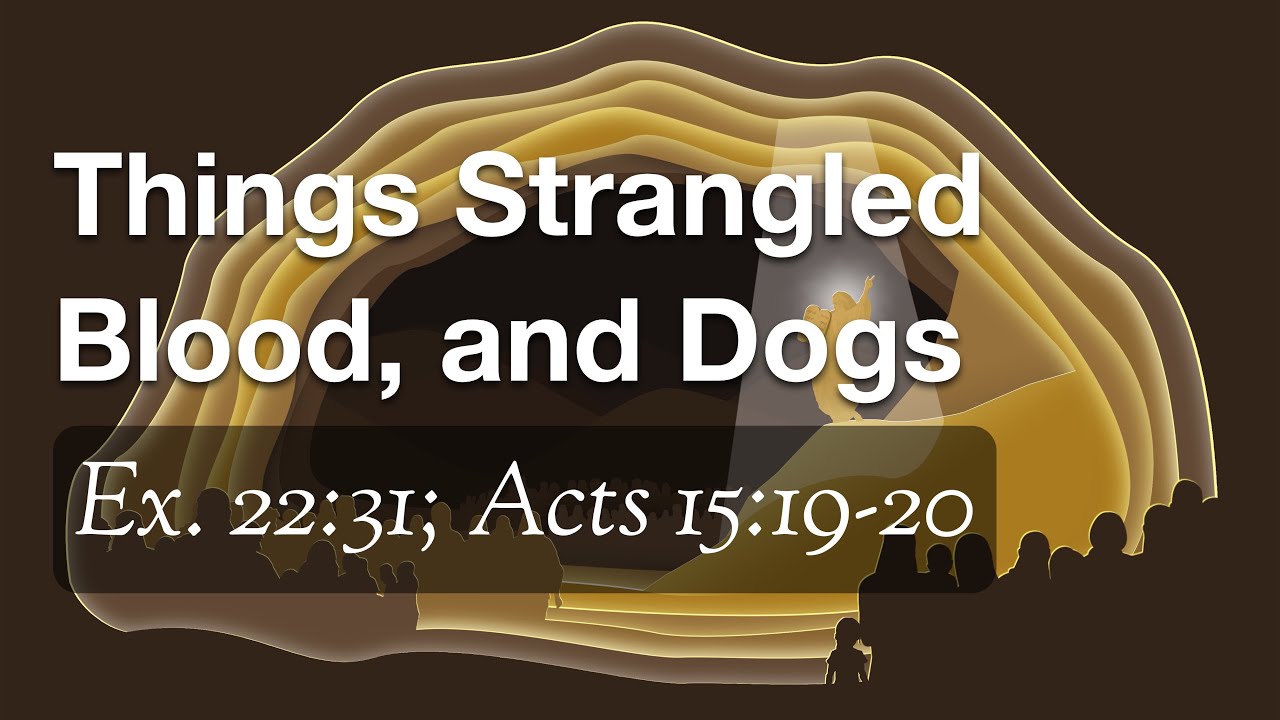 Things Strangled, Blood, and Dogs (Ex. 22:31; Acts 15:19-20) - YouTube