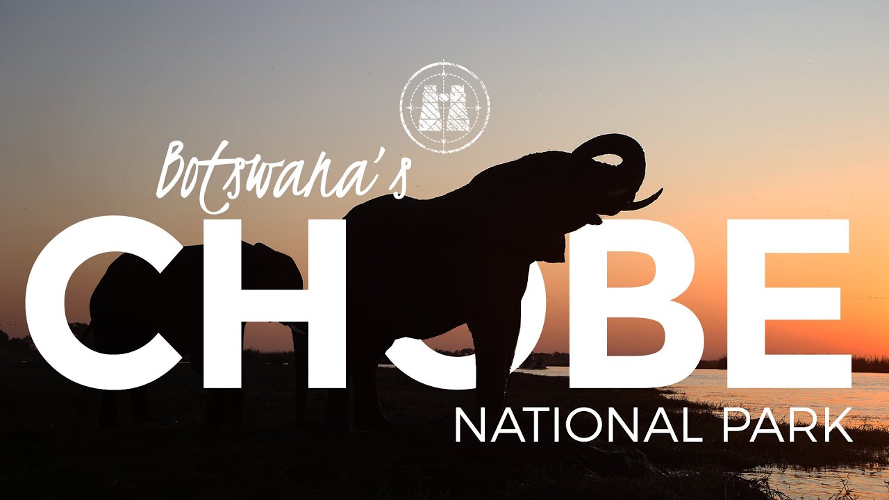 Chobe National Park / 2022 - YouTube