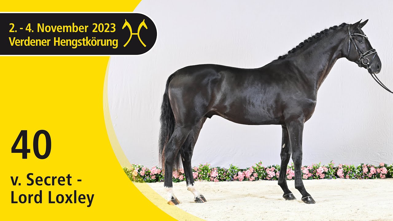 Verden Stallion Licensing 2023 - Dressage - Nov. 2-4 - No. 40 Stallion ...
