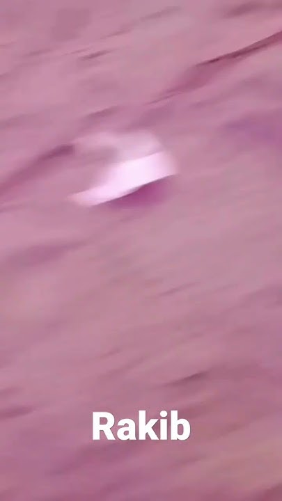 md.RAKIB RANA DINAJPUR - YouTube