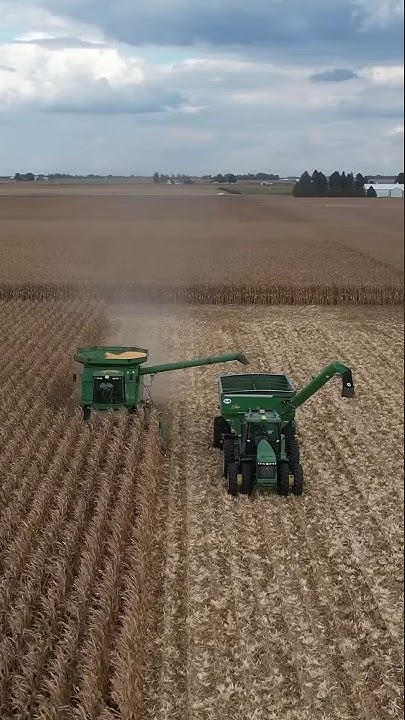Great Day of Harvest - YouTube