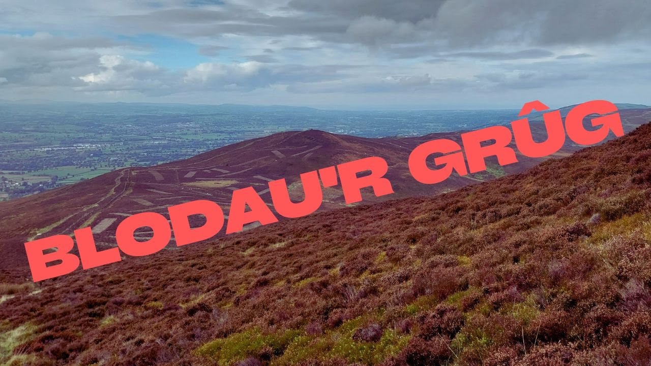 Blodau'r Grûg / Flowers of the Heath - Welsh Mandolin - YouTube