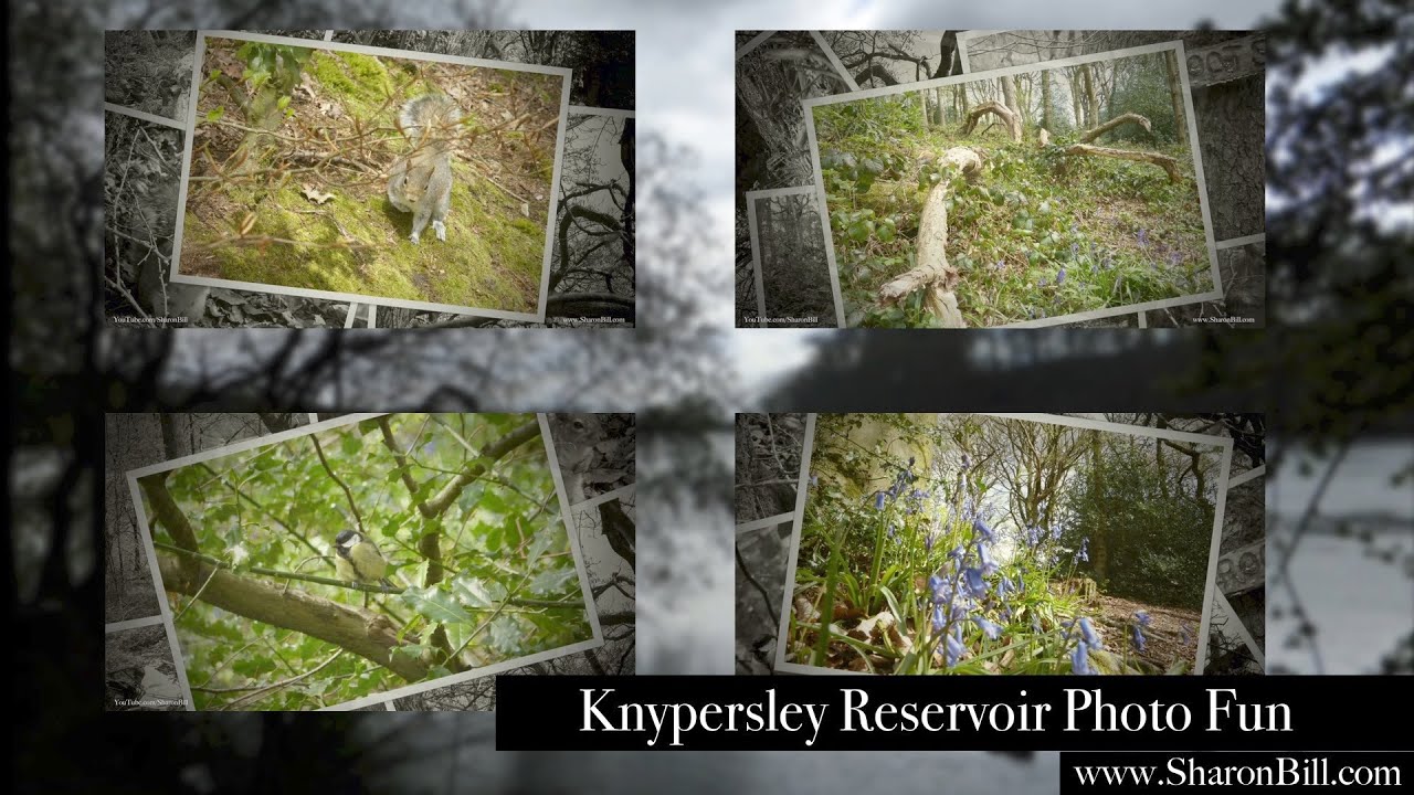 Knypersley Reservoir Photography Fun - YouTube