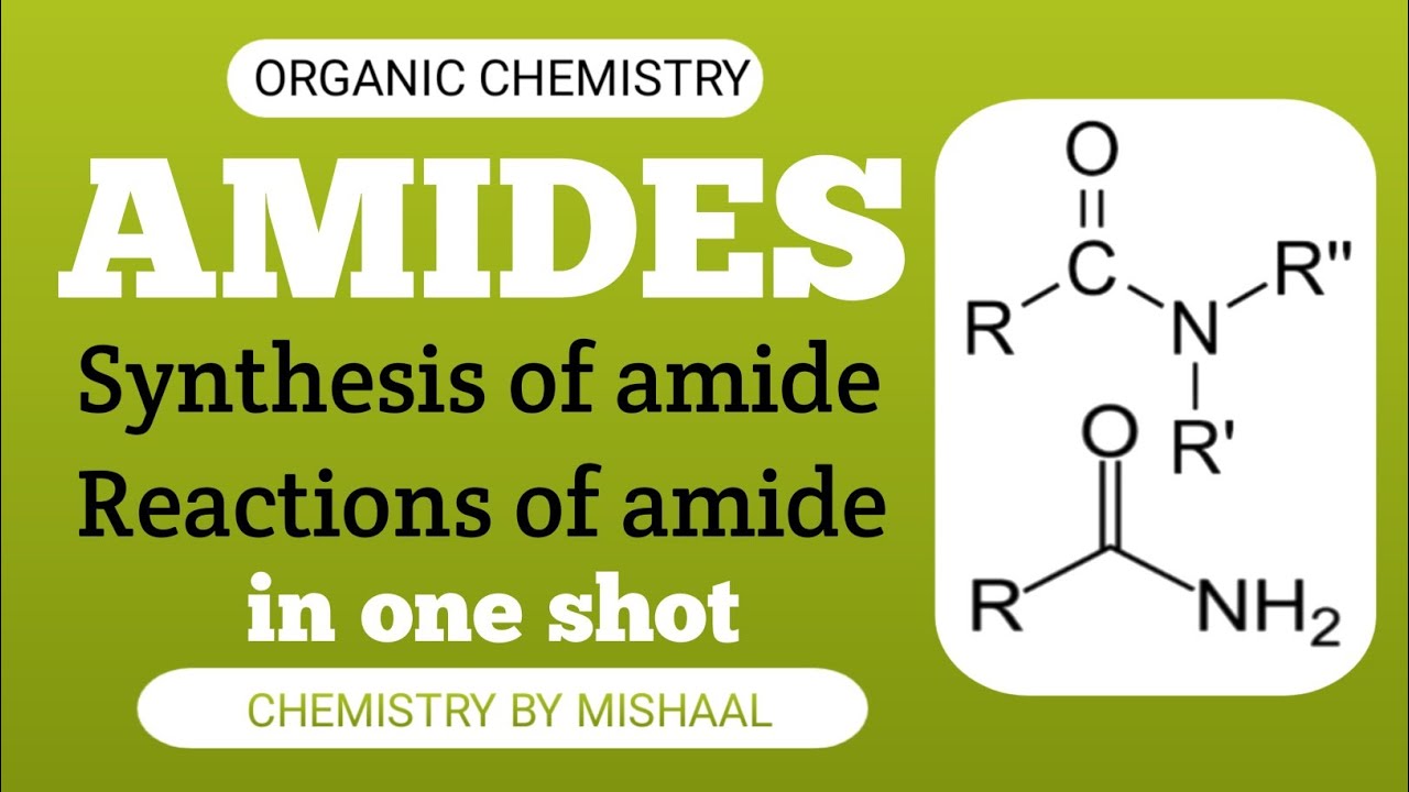 Amides |Synthesis and Reactions |Complete amides in one shot | Bs ...