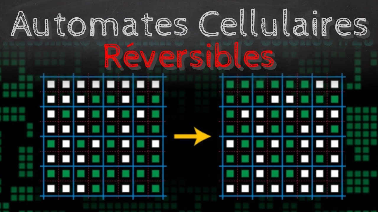 Les Automates Cellulaires réversibles - Passe-science #23 - YouTube