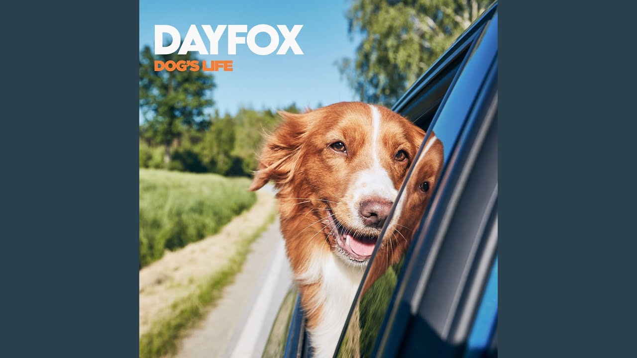 Dog's Life - YouTube