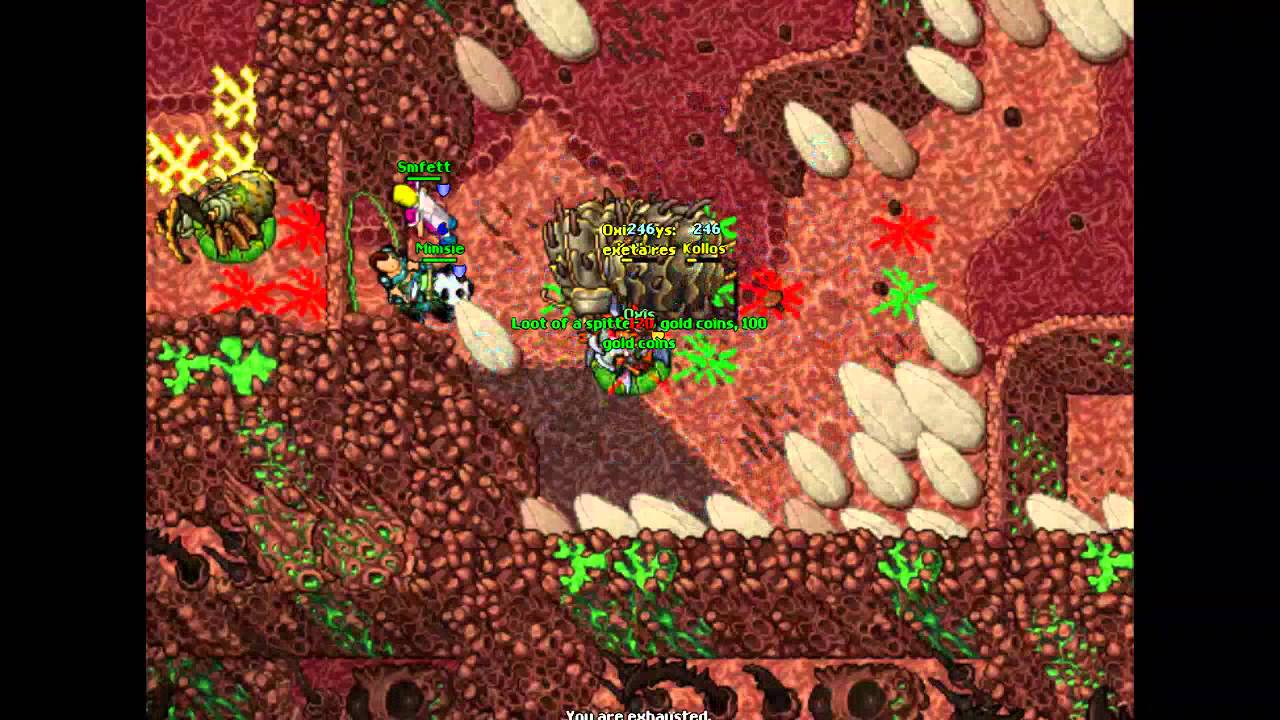 The Hive - Tibia - YouTube