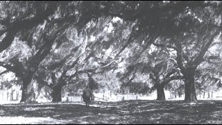The Huntingtons, Brookgreen Gardens, and Sandy Island