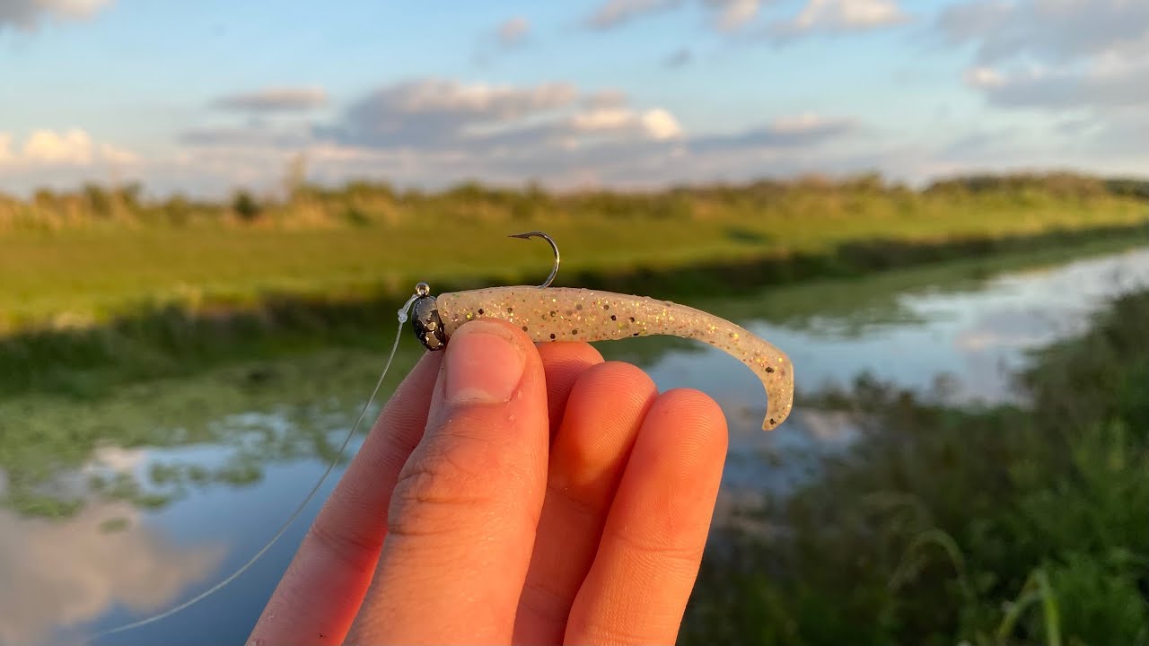 Florida Multi Species Canal Fishing - YouTube