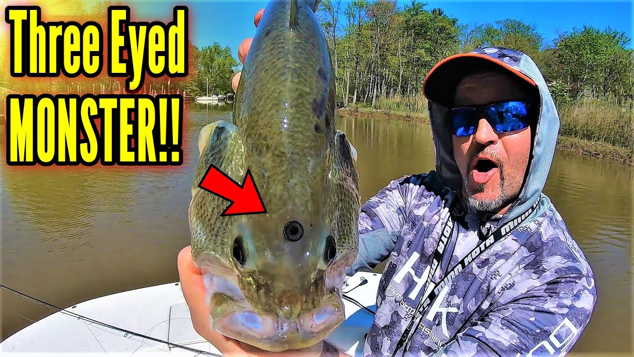 Spring Fishing for Snakehead Bass Crappie & a Three Eyed Monster? - YouTube