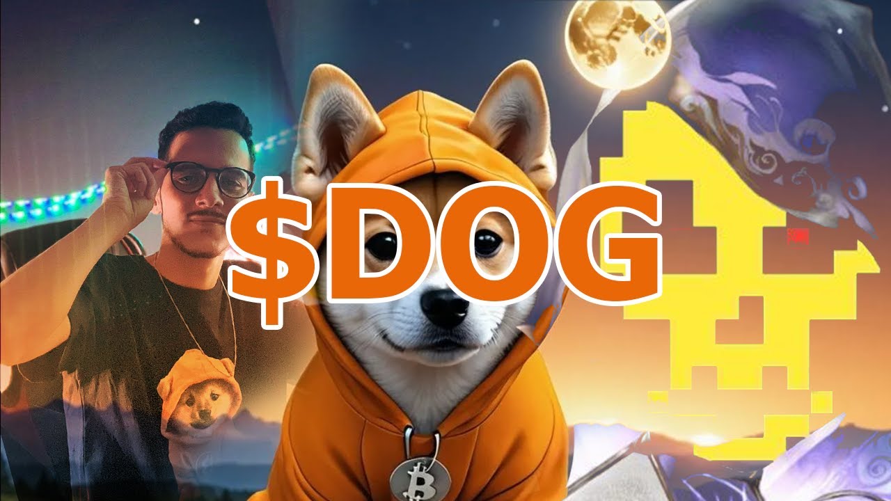 DOG GO TO THE MOON 🔥| EU FUI, EU TAVA - YouTube