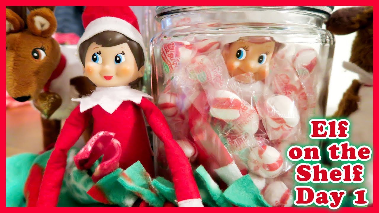 Elf on the Shelf is BACK! New Elf Pets and New Outfits Daily Elf Videos ...