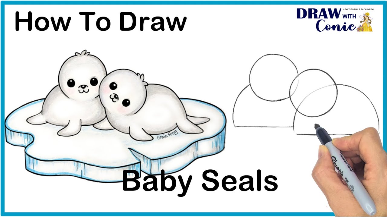 How to draw baby seals step by step tutorial #easydrawing # ...