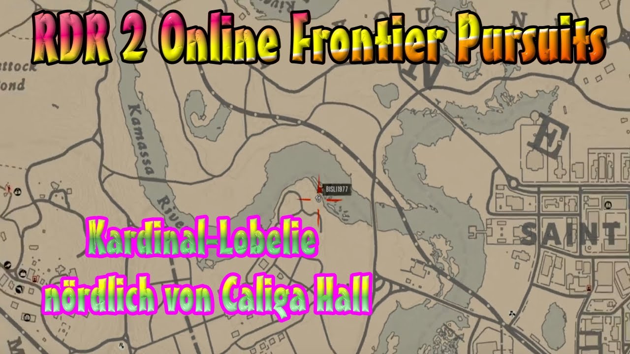 RDR 2 Online Frontier Pursuits - Sammlerfundort - Kardinal-Lobelie ...