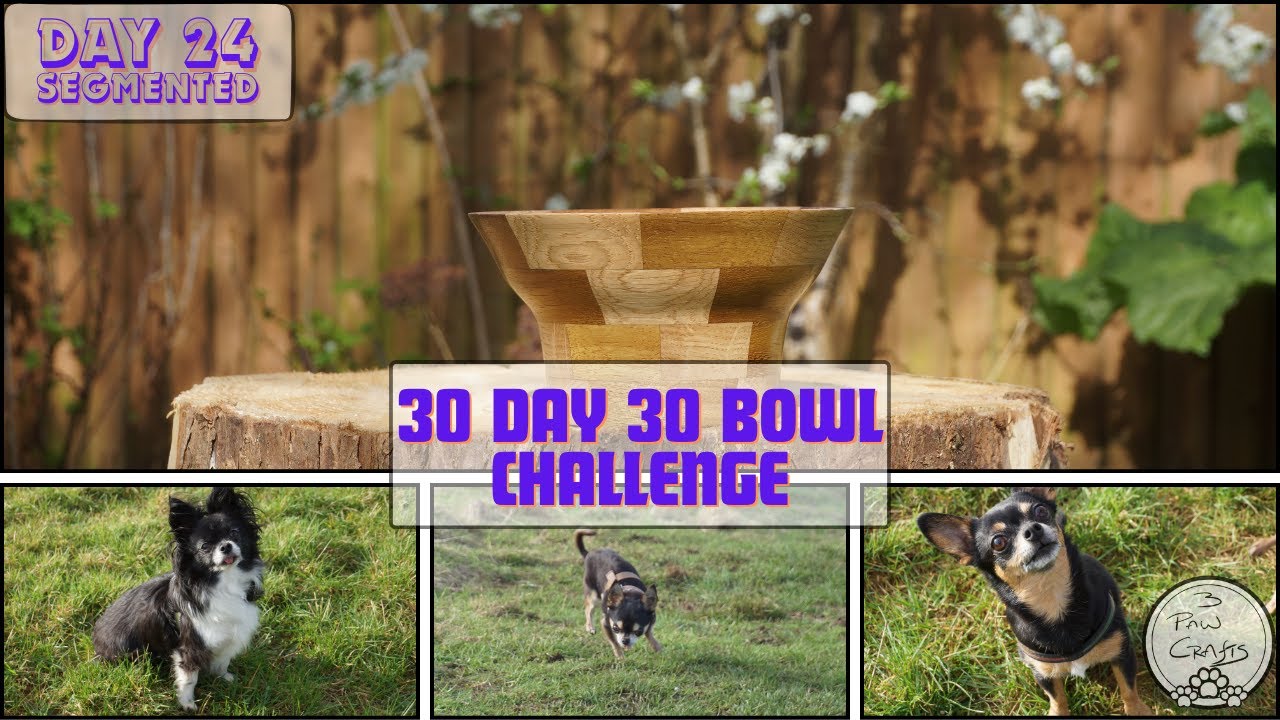 Woodturning 30 Day 30 Bowl Challenge Day 24 Segmented Bowl - YouTube