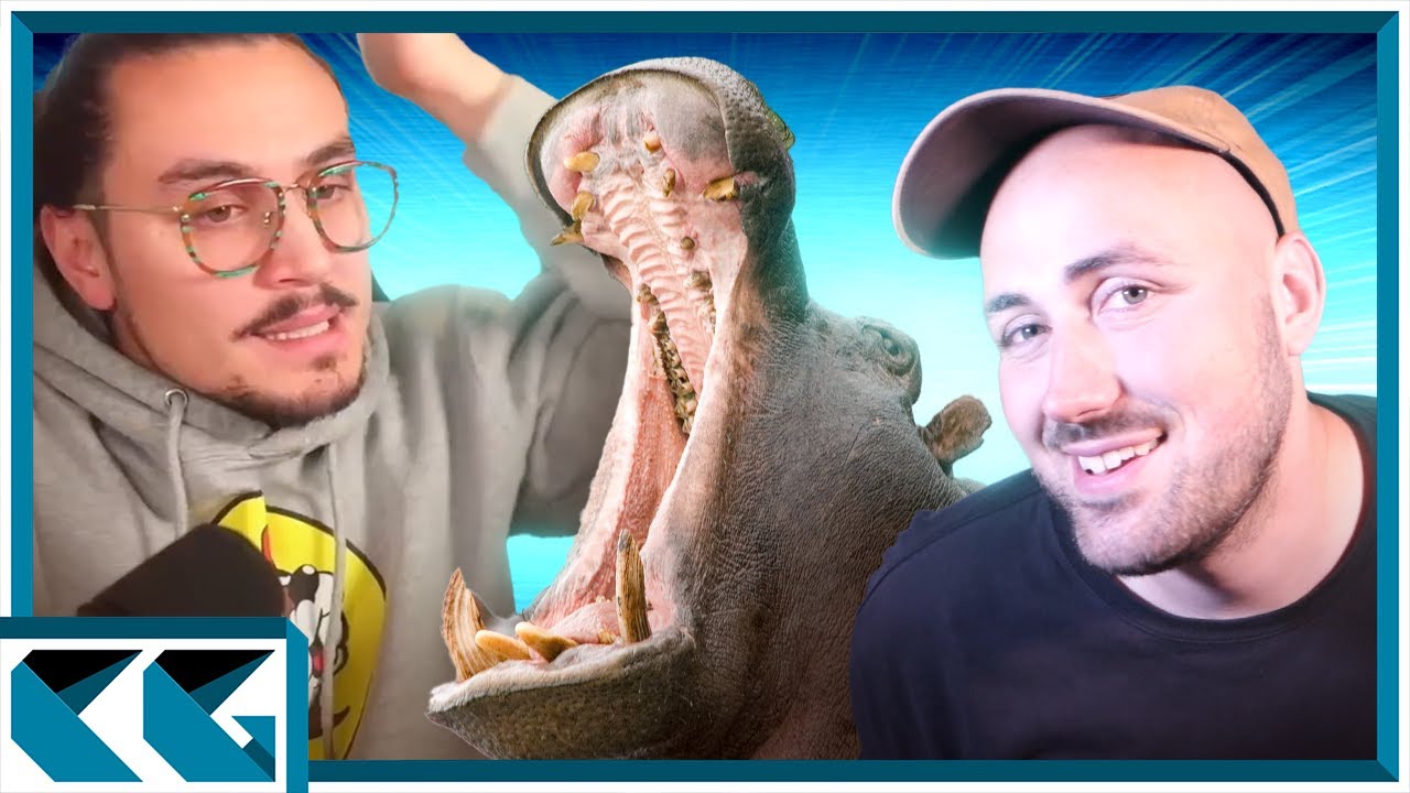 FLEXIBLE Hippopotamus Defense = GOOD Hippopotamus Defense - YouTube