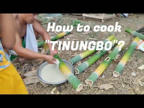 HOW TO COOK TINUNGBO|VACATION PHILIPPINES 2022-2023 - YouTube
