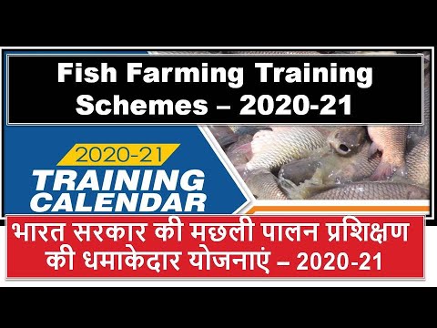Fish Farming Training Schemes 2020-21: भारत सरकार की मछली पालन योजनाएं ...