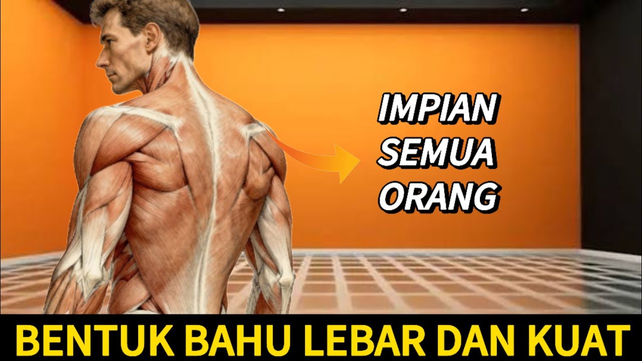 Latihan yang Paling Efektif untuk Membuat Bahu Lebar & Proporsional!”l ...