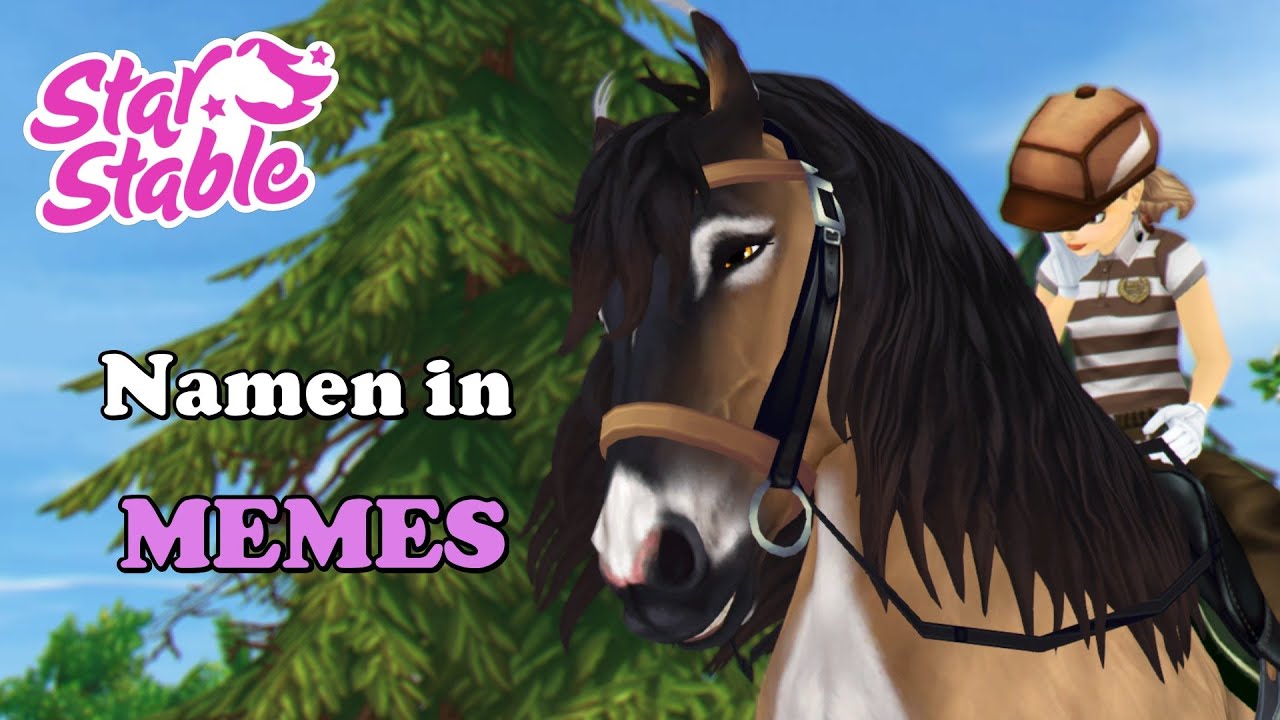 [SSO] Spielernamen in MEMES 😆||Jana - YouTube