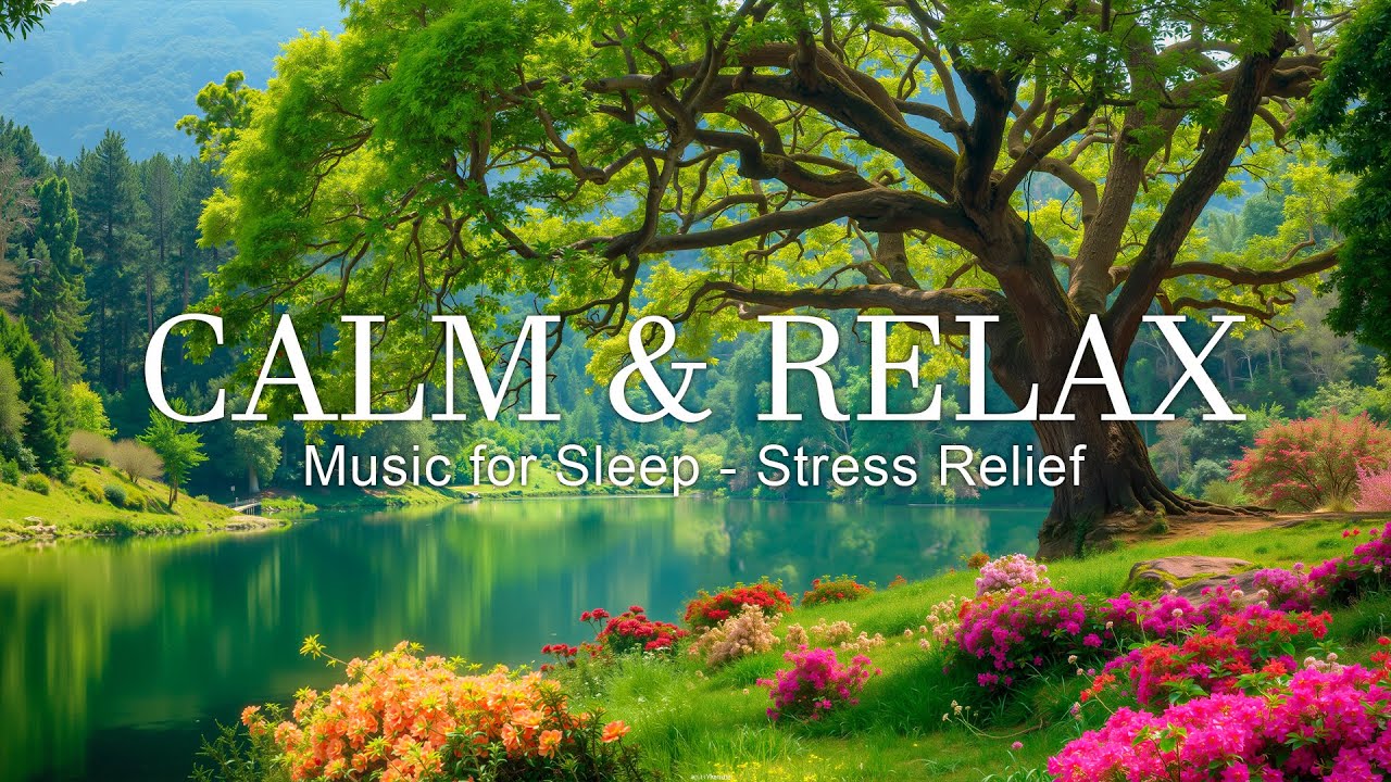 Relaxing Piano Music – Calm the Mind, Reduce Stress, Sleep Better - YouTube
