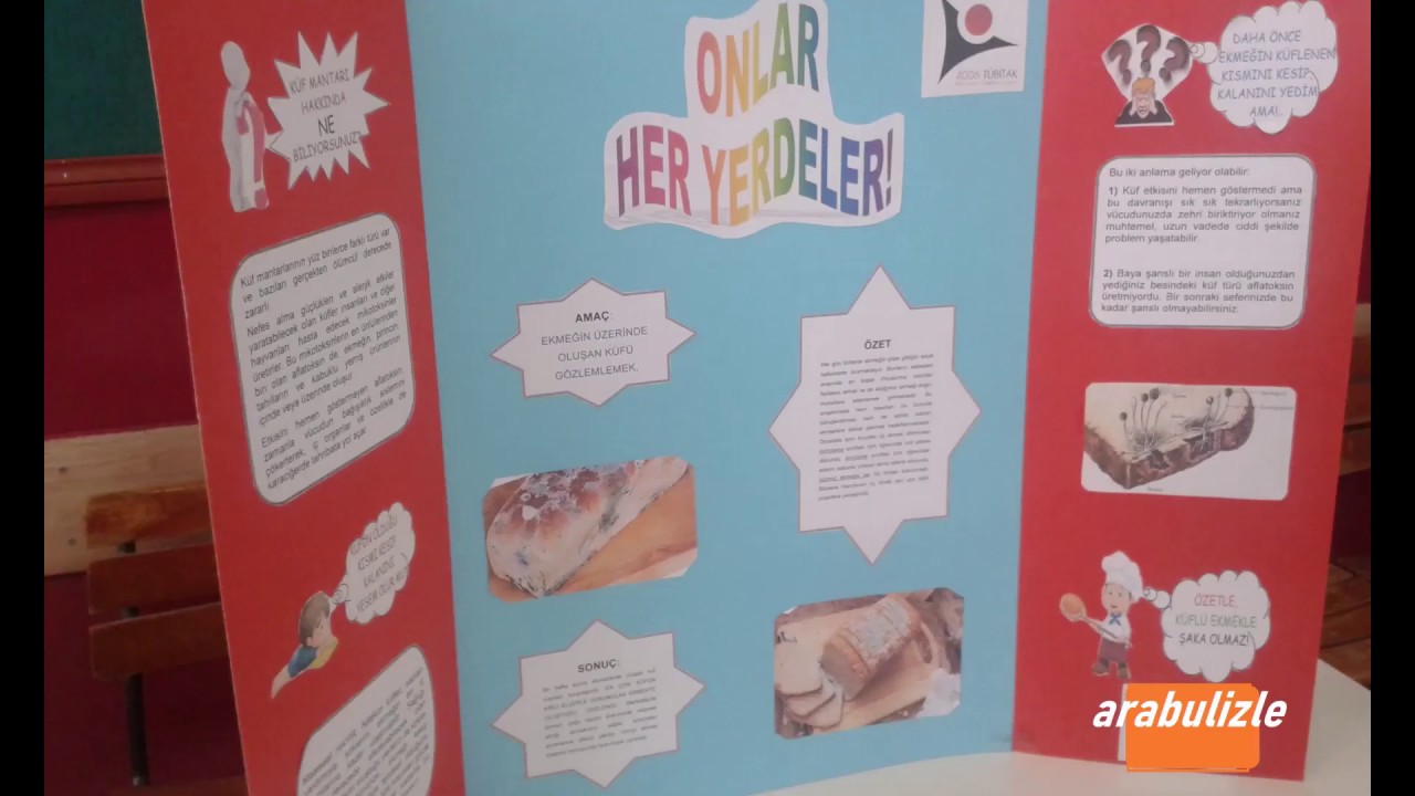 4006 TÜBİTAK Proje Örnekleri - YouTube