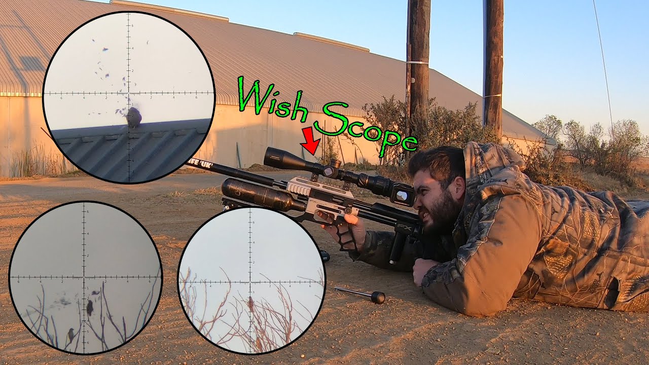 A Quick pesting session before sunset in super slow-motion - YouTube