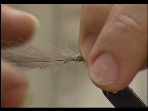 CDC loop emerger - YouTube