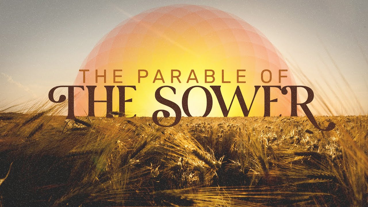 The Parable of the Sower - Week 4: Seed and Fruit - YouTube