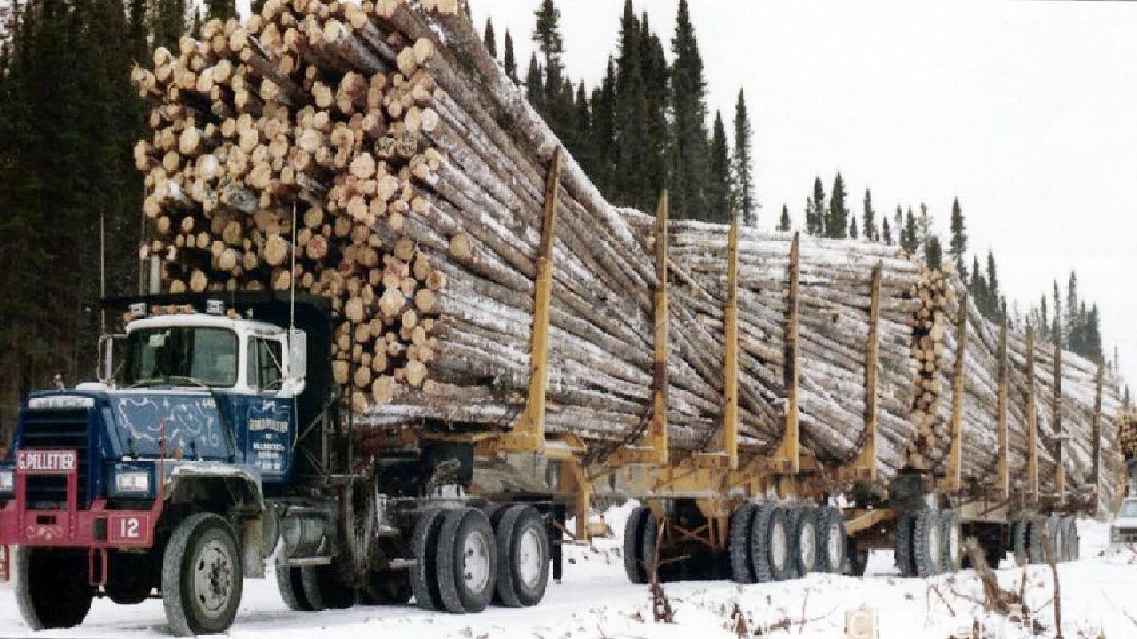 Amazing Fastest Cutting Tree Machine - Heavy Logging Wood Truck ...