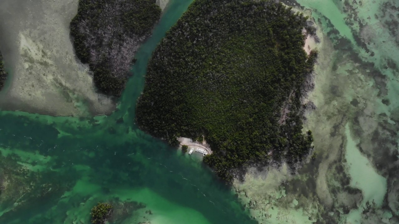 Mud Keys: Key West Florida - YouTube
